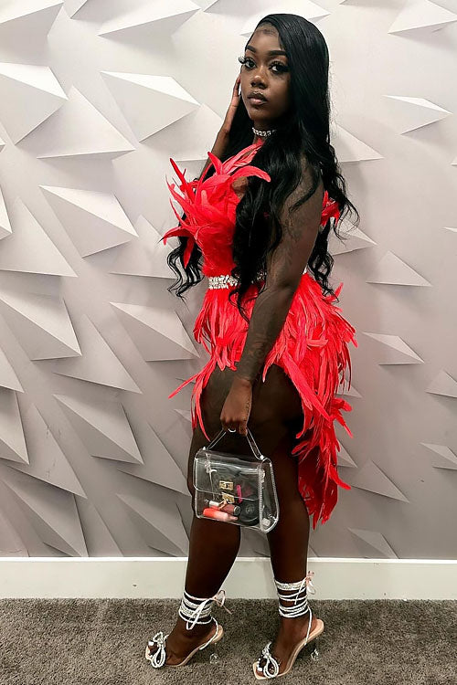 Vivian Feather Dress (Made to Order) – AMEKANA